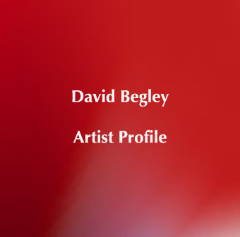 David Begley - Art Collection